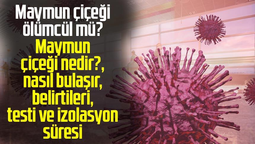 Maymun çiçeği ölümcül mü? Maymun çiçeği nedir, nasıl bulaşır ...