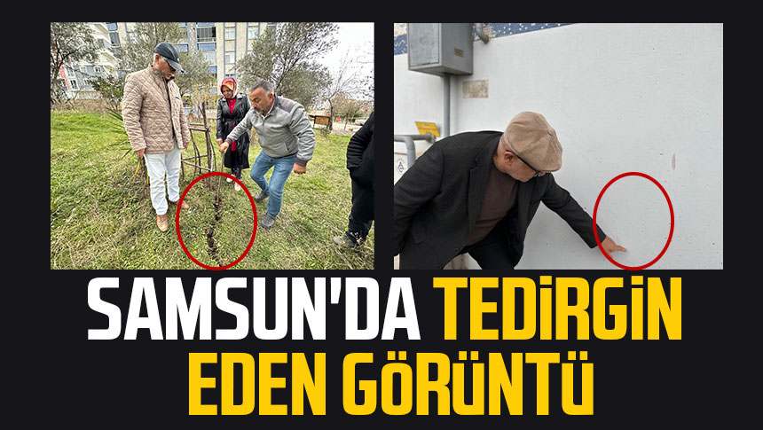 Samsun'da tedirgin eden görüntü - Samsun Haber, Samsun Son Dakika Haberleri Samsun'da tedirgin eden görüntü - Samsun Haber, Samsun Son Dakika Haberleri