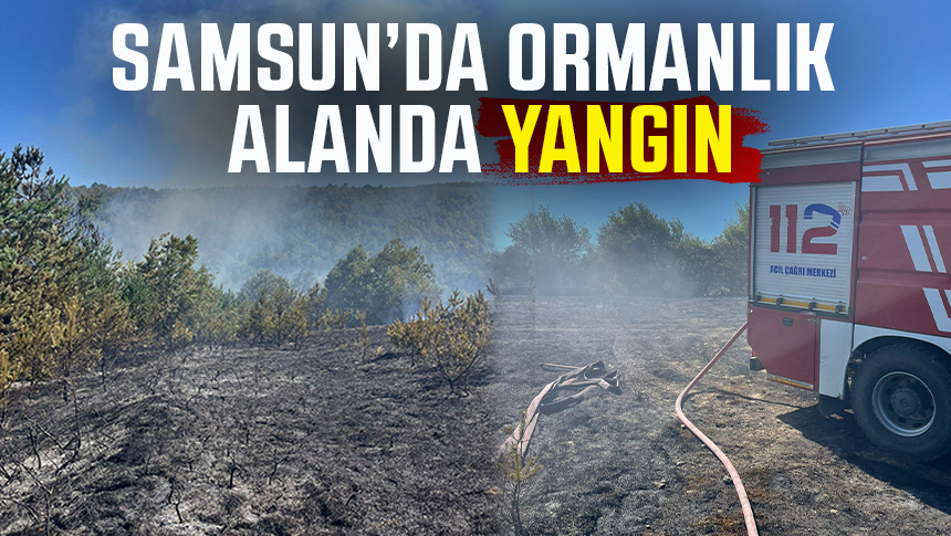 Samsun Ladik'te ormanlık alanda yangın - Samsun Haber, Samsun Son ... Samsun Ladik'te ormanlık alanda yangın - Samsun Haber, Samsun Son ...